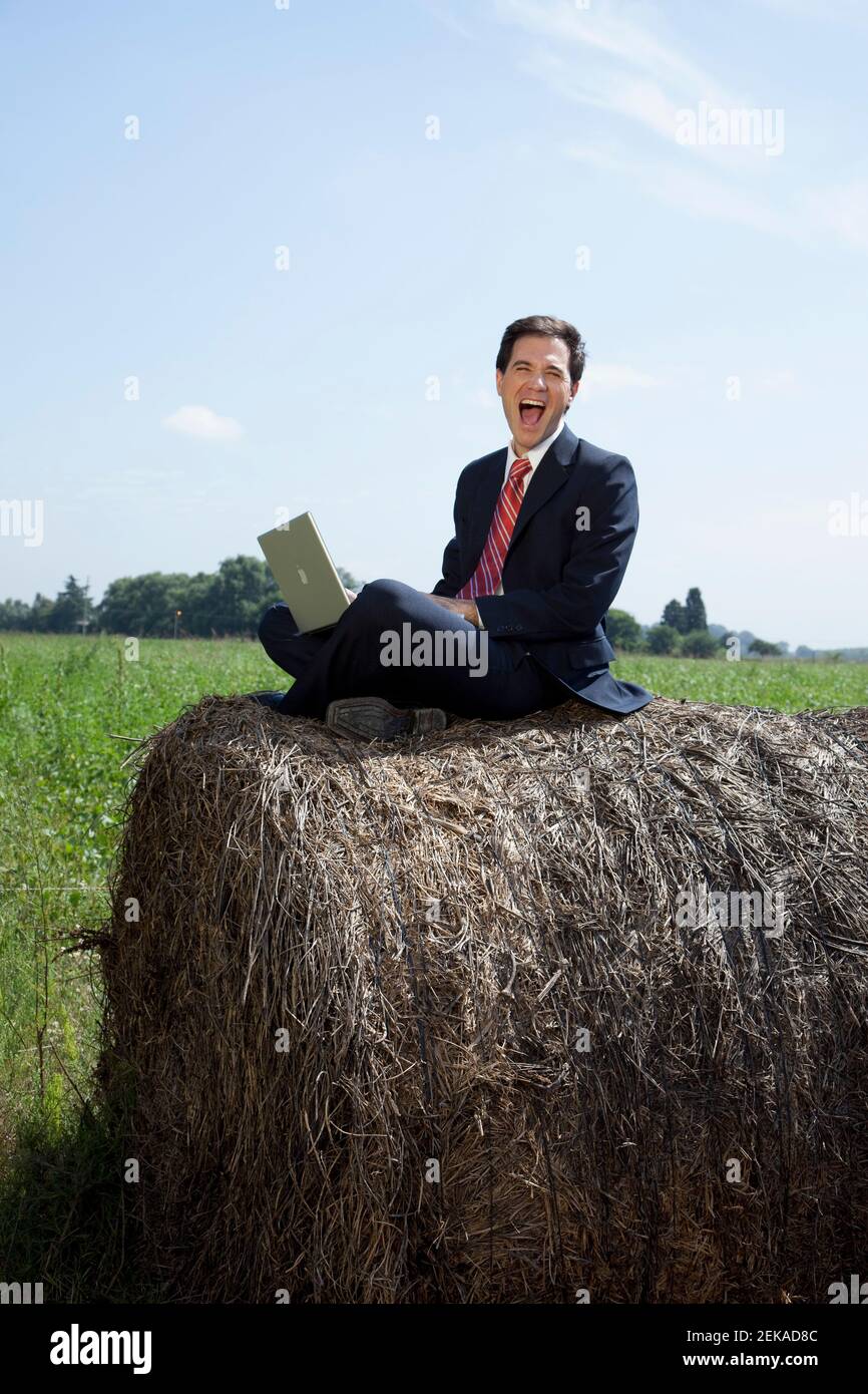 Using haystack hi-res stock photography and images - Alamy