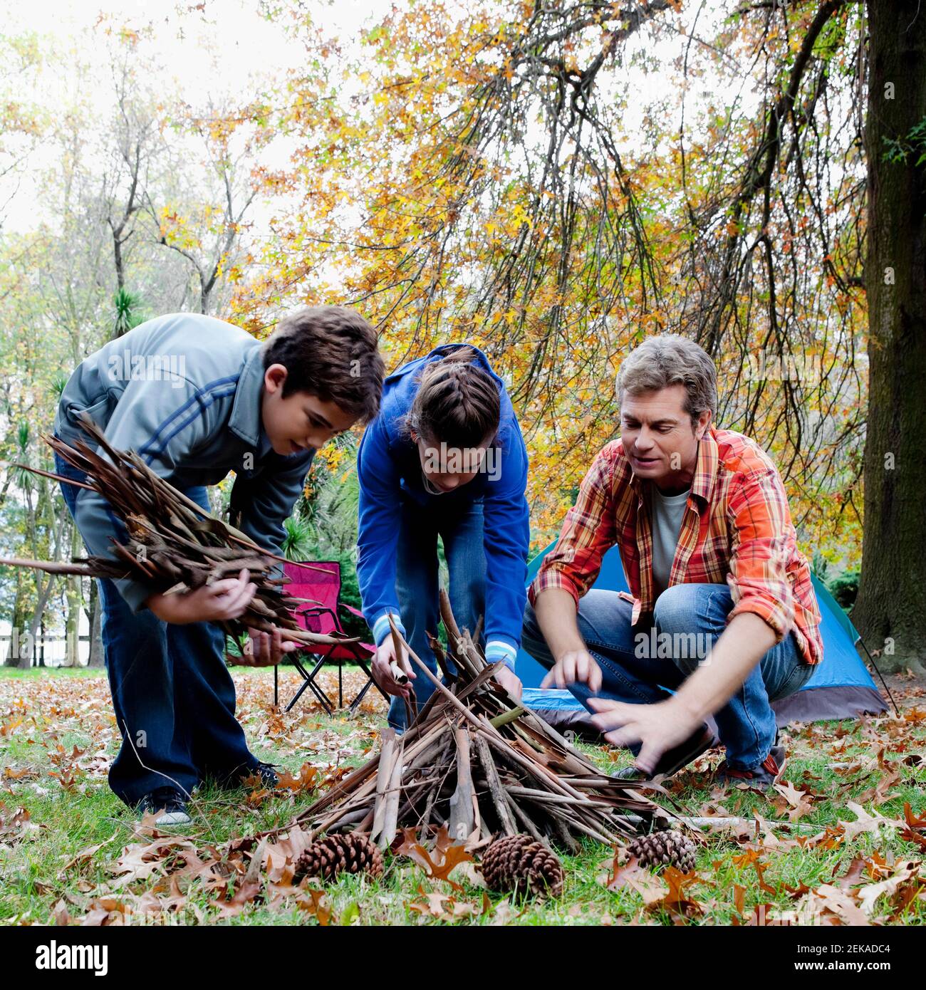 Which he has been collecting for 50 years hi-res stock photography and ...