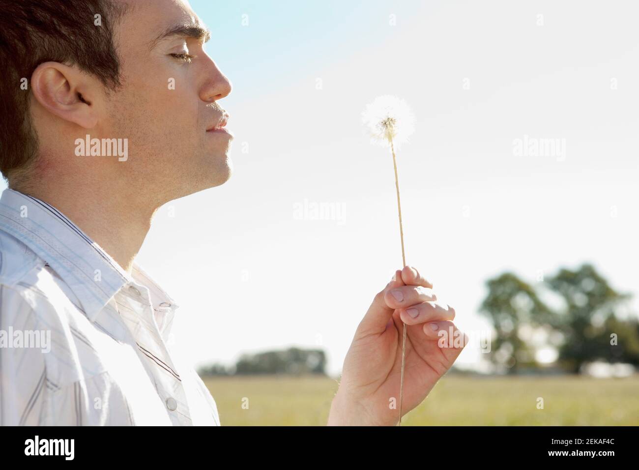 Man blowing dandelion Stock Photo - Alamy