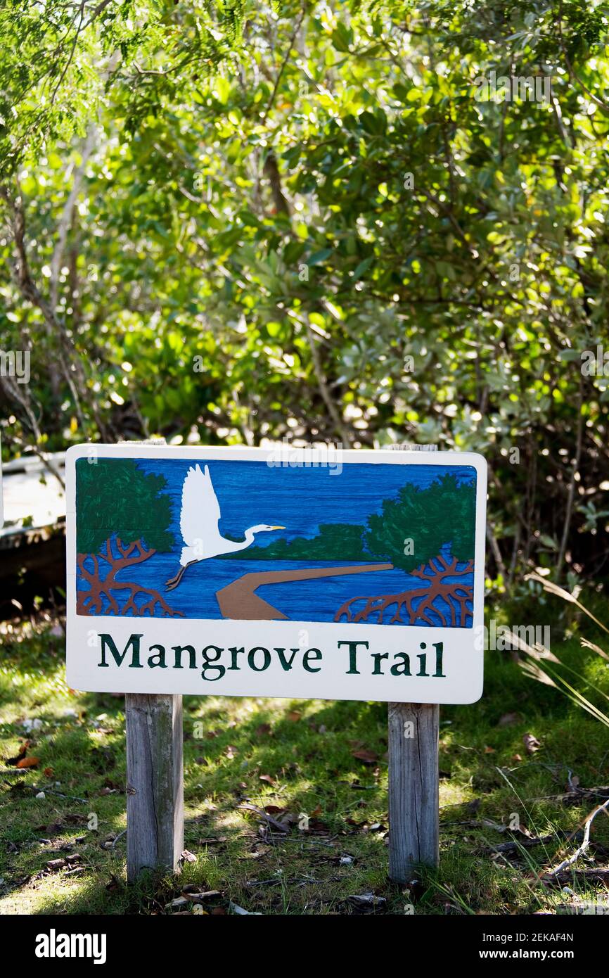 Information signboard at start of Mangrove Trail, John Pennekamp Coral ...