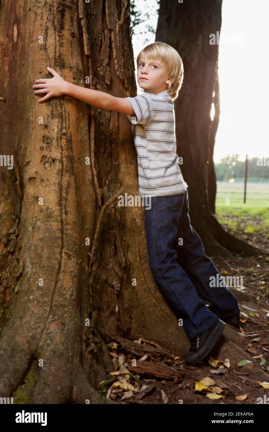 Boy hugging a tree in a garden Stock Photo - Alamy