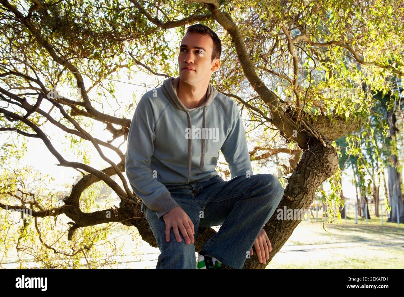 Man sitting on a tree in a garden Stock Photo - Alamy