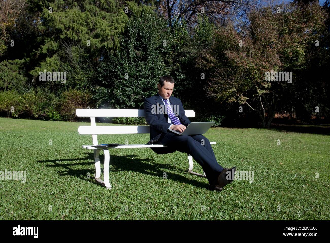 Businessman using a laptop in a park Stock Photo - Alamy