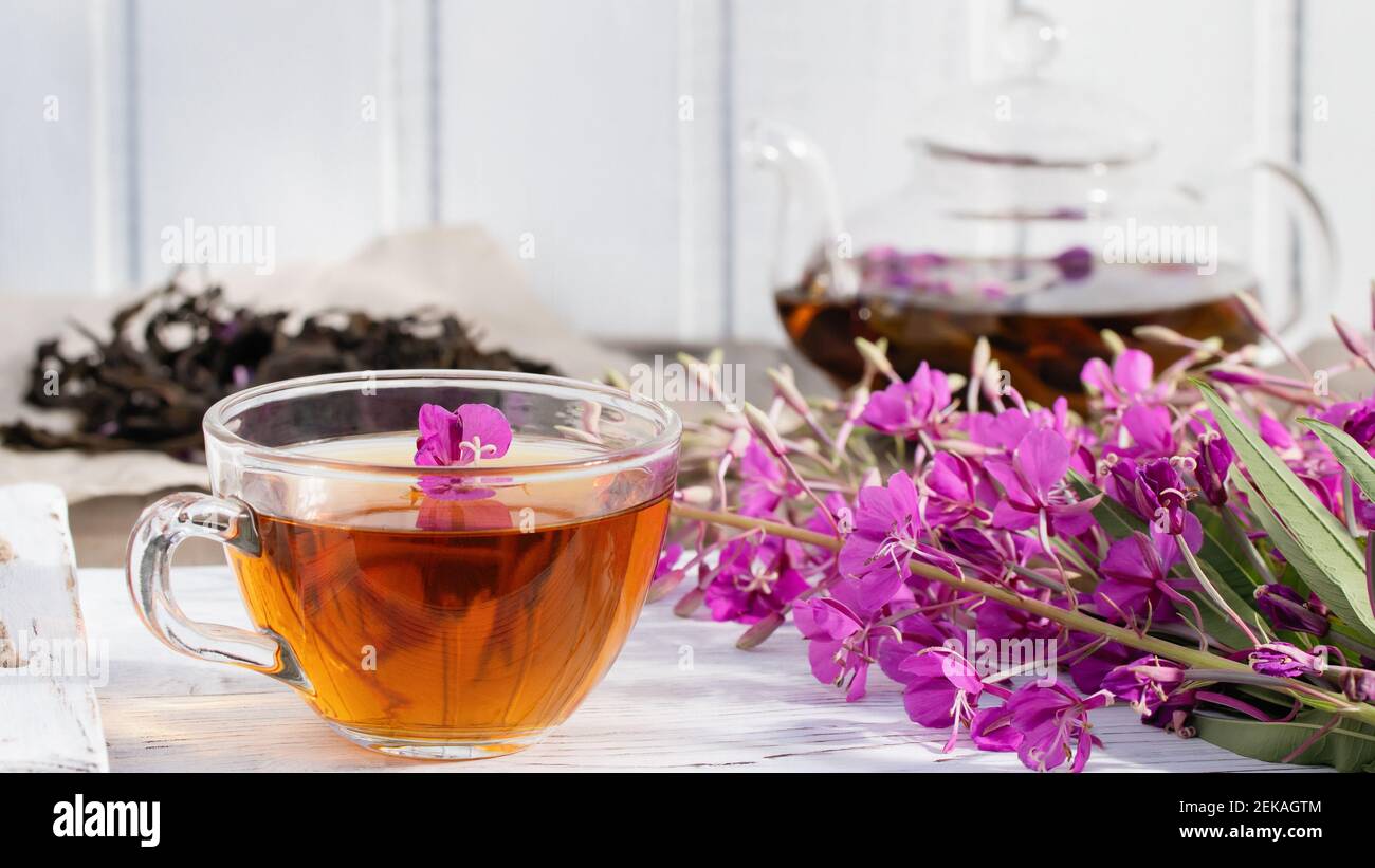 Herbal tea made from fireweed known as blooming sally in teapot and cup ...