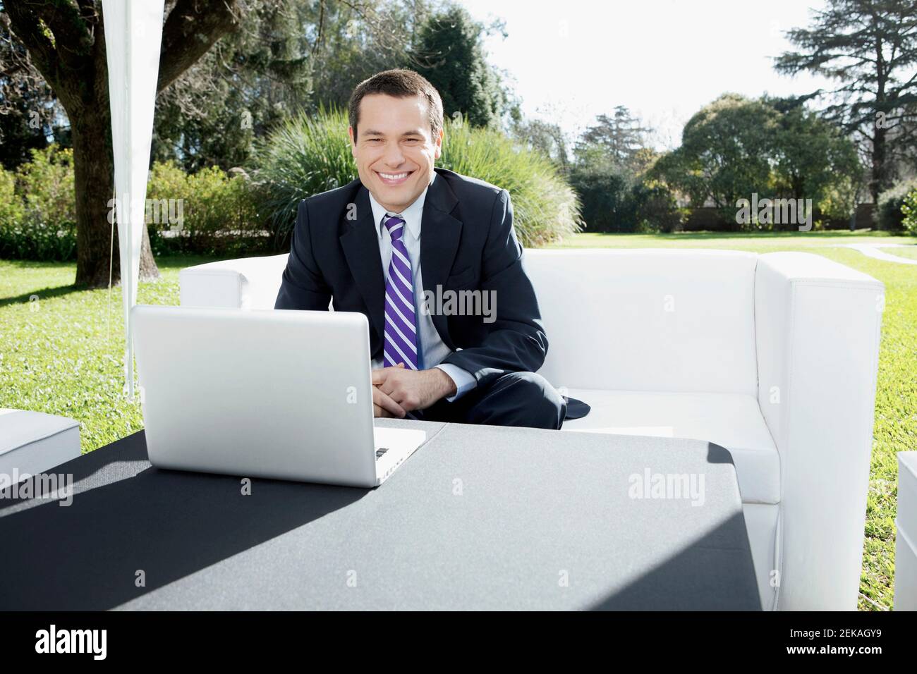Businessman using a laptop in a park Stock Photo - Alamy