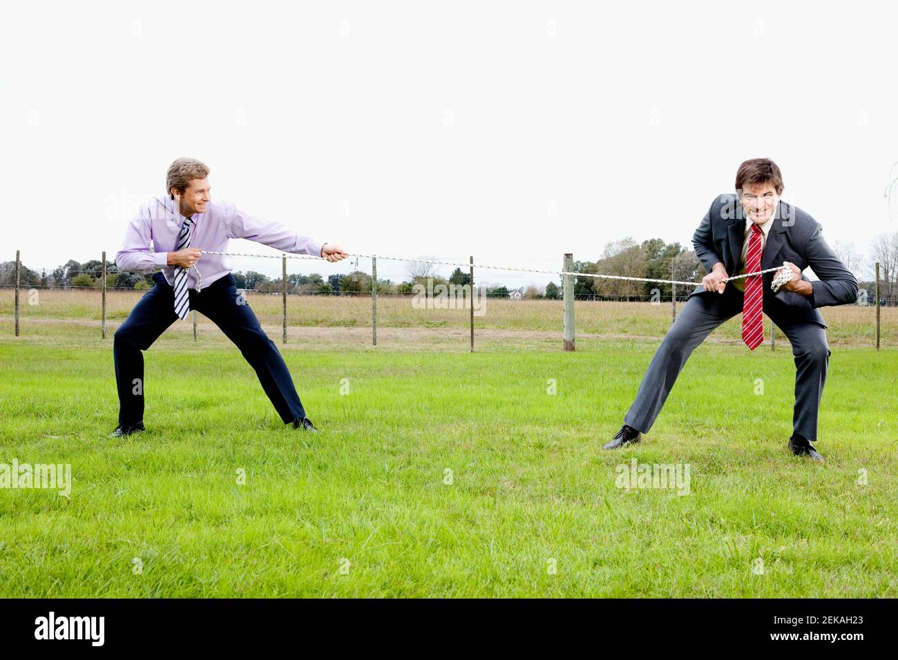 Business colleagues playing tug of war Stock Photo - Alamy