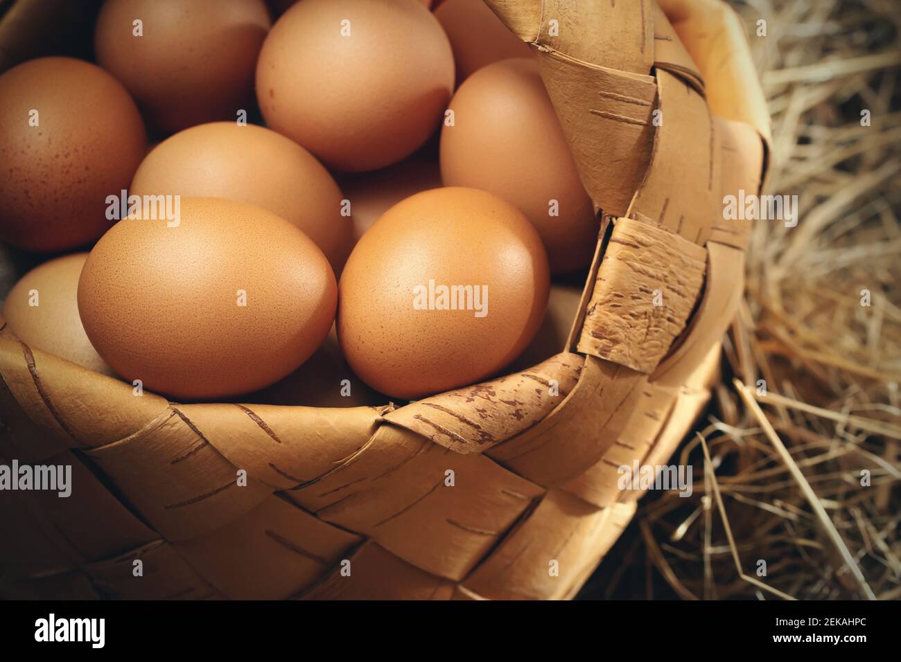 Chicken barn hi-res stock photography and images - Alamy