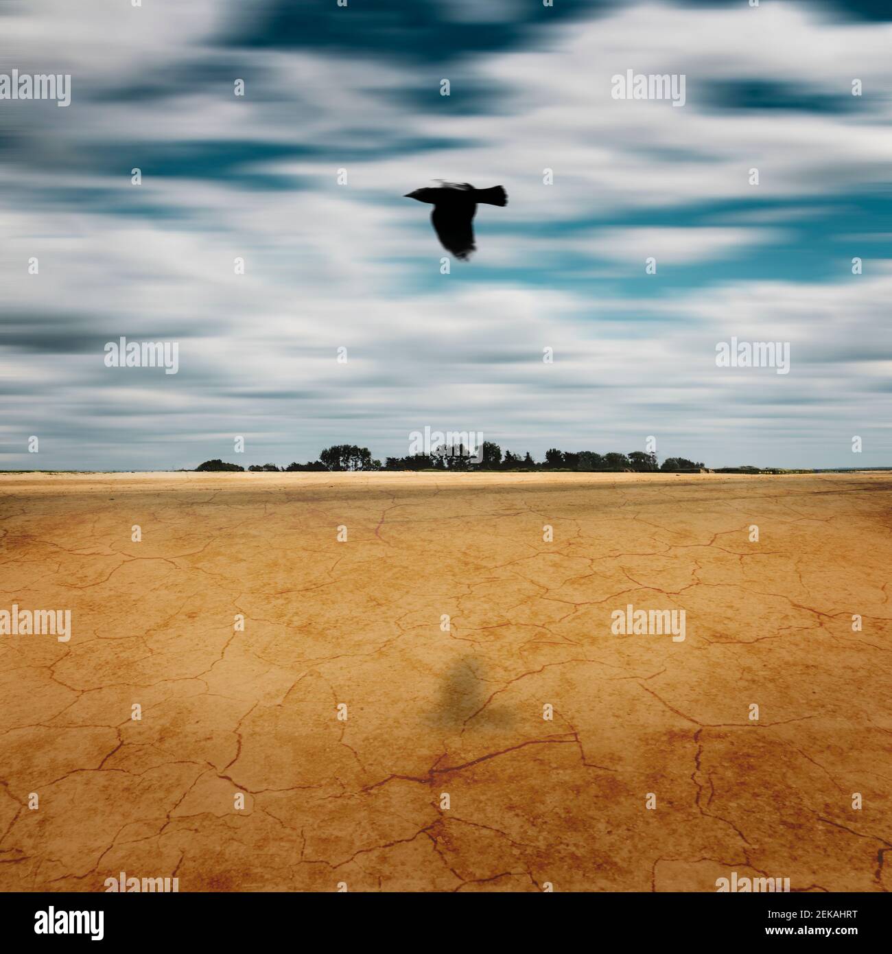 Land bird hi-res stock photography and images - Alamy