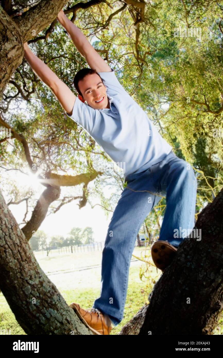 Man hanging on a tree branch Stock Photo - Alamy