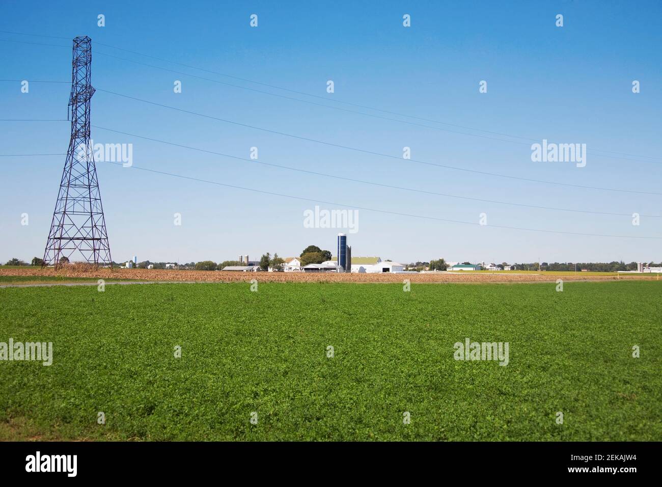 Electricity pylon in a field, Amish Farm, Lancaster, Pennsylvania, USA ...