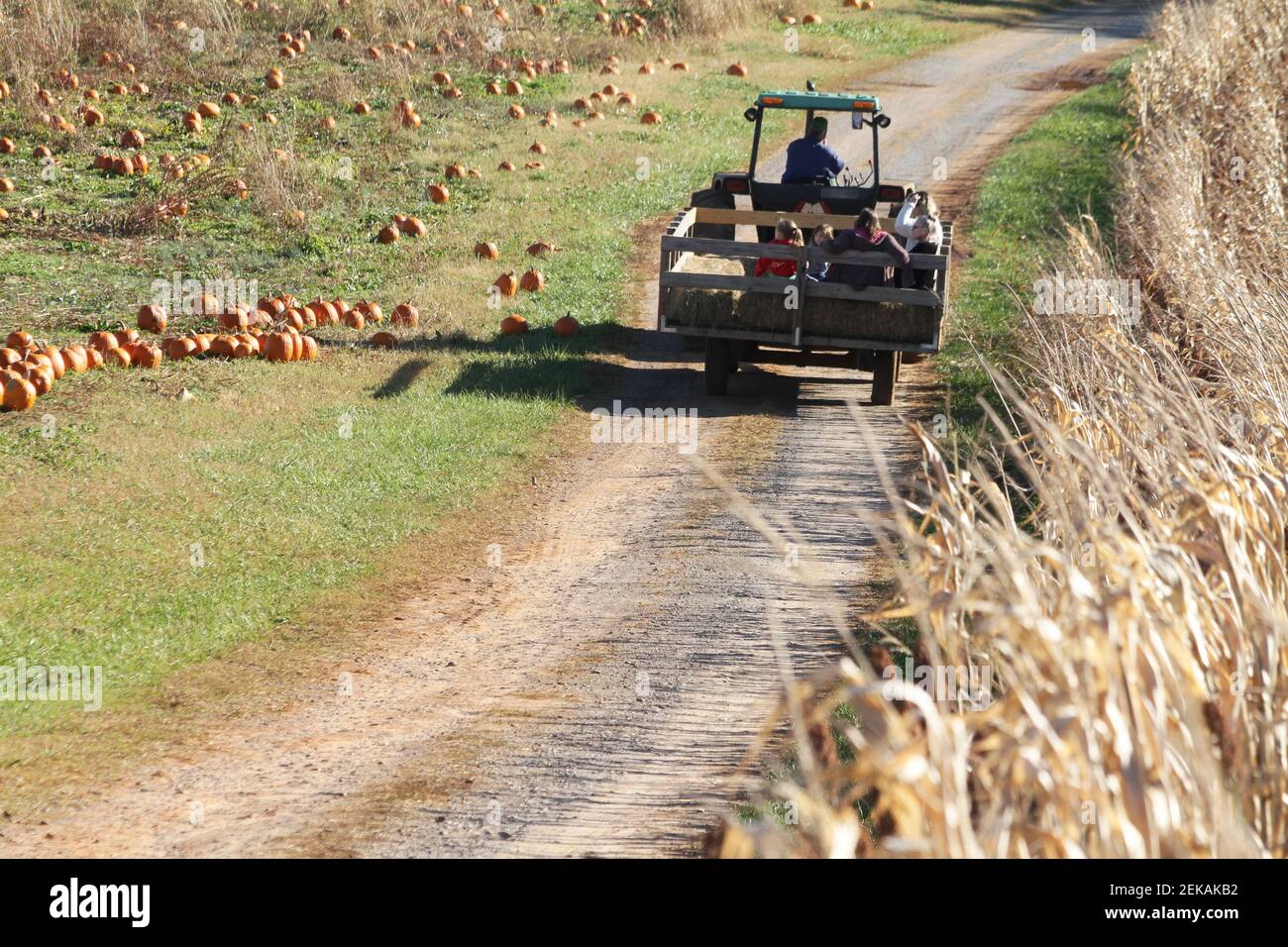 Hayride hi-res stock photography and images - Alamy