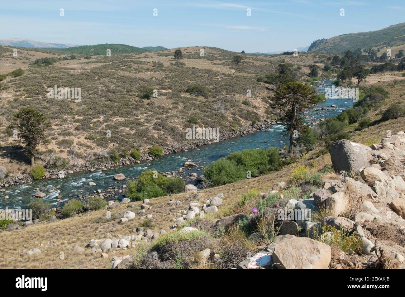 Cordillera de los andes hi-res stock photography and images - Alamy