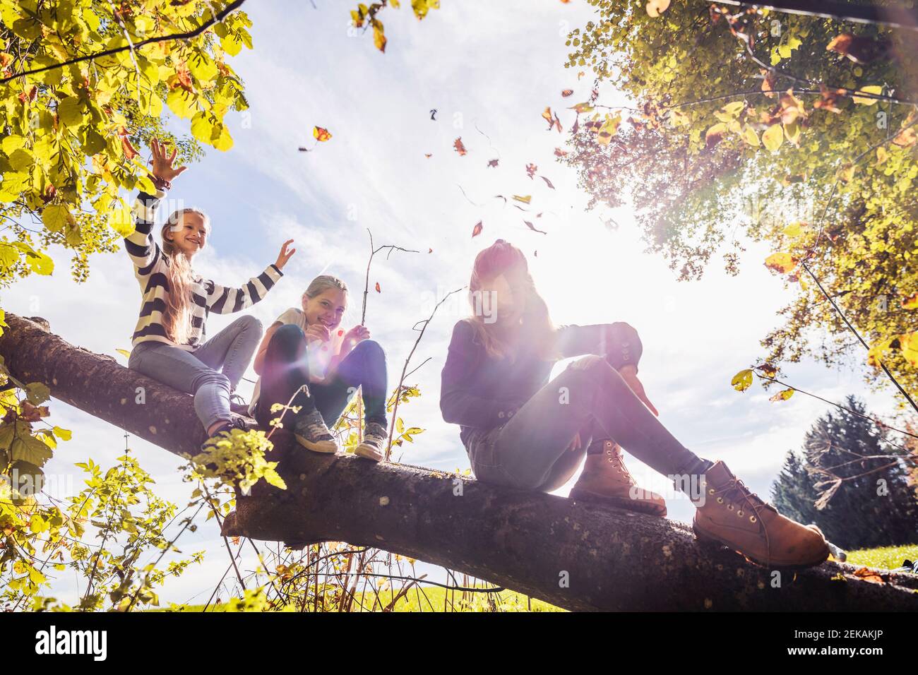 Friends climbing tree hi-res stock photography and images - Alamy
