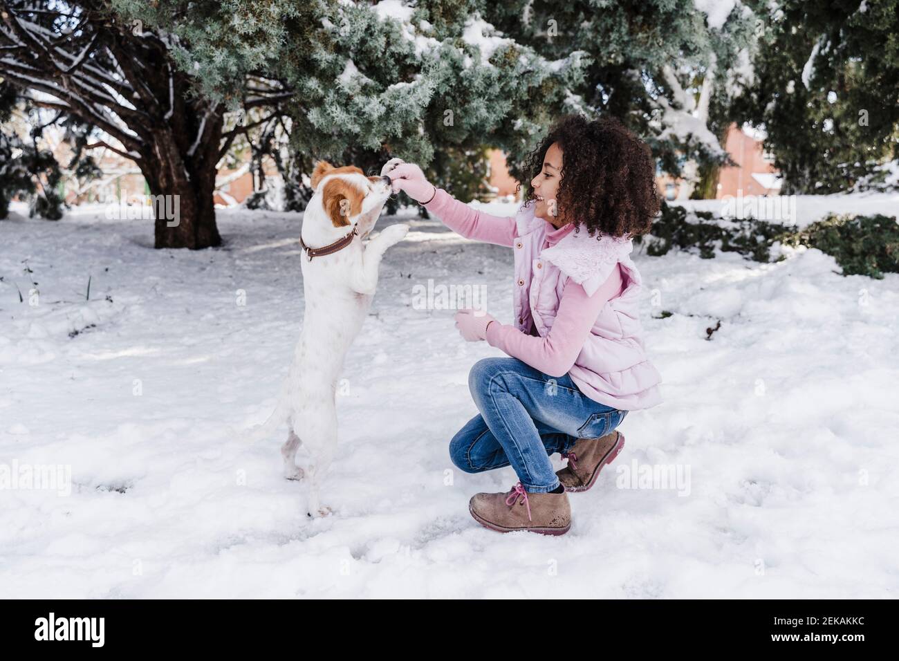 Girl playing snow winter hi-res stock photography and images - Alamy