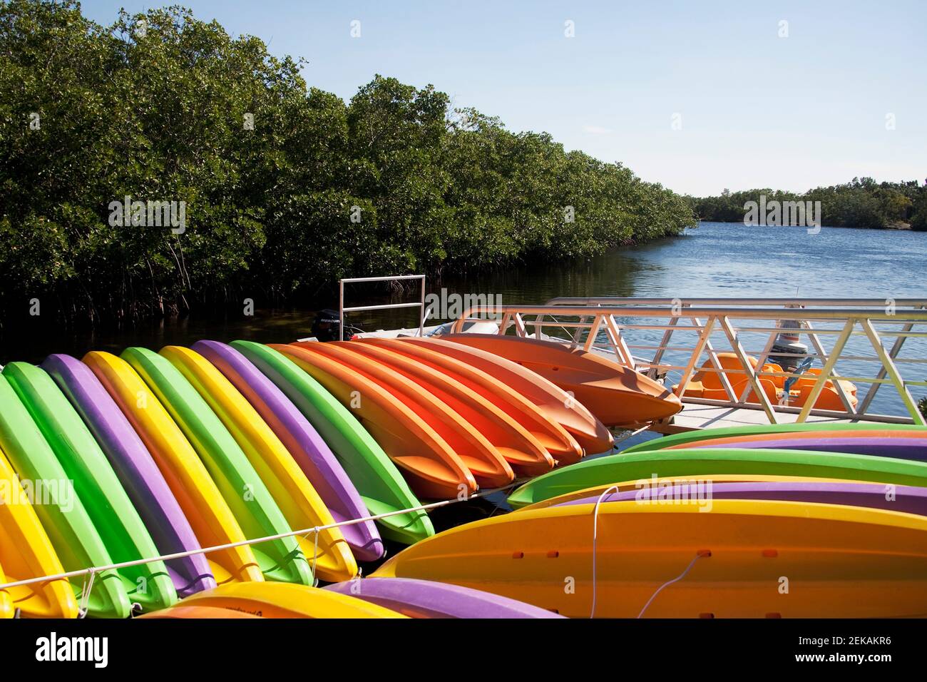 Canoes in a row at the lakeside, John Pennekamp Coral Reef State Park ...