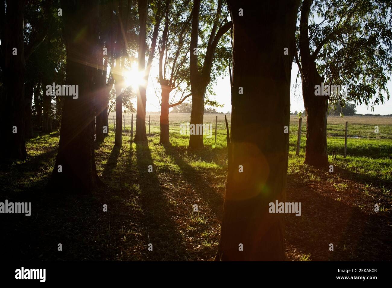 Passing beam hi-res stock photography and images - Alamy