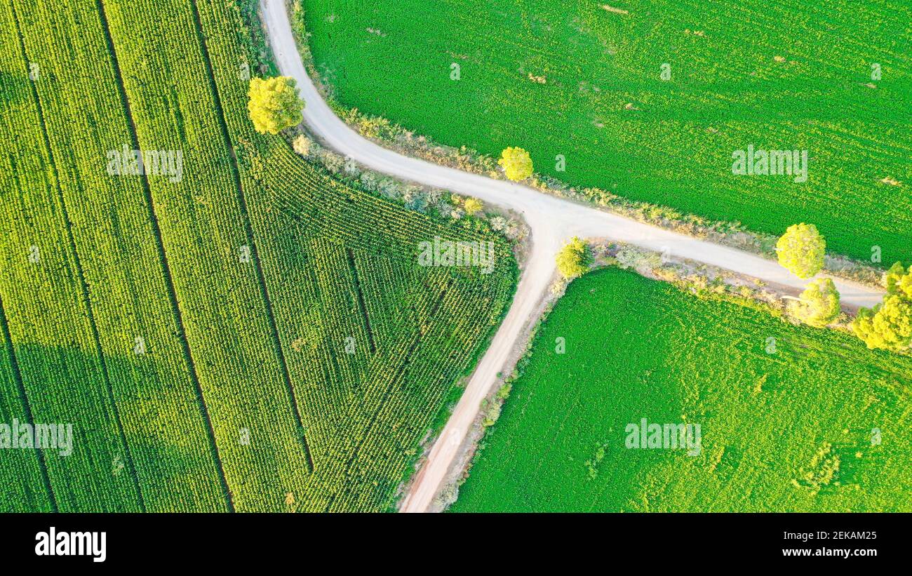 Aerial view of field and road Stock Photo - Alamy