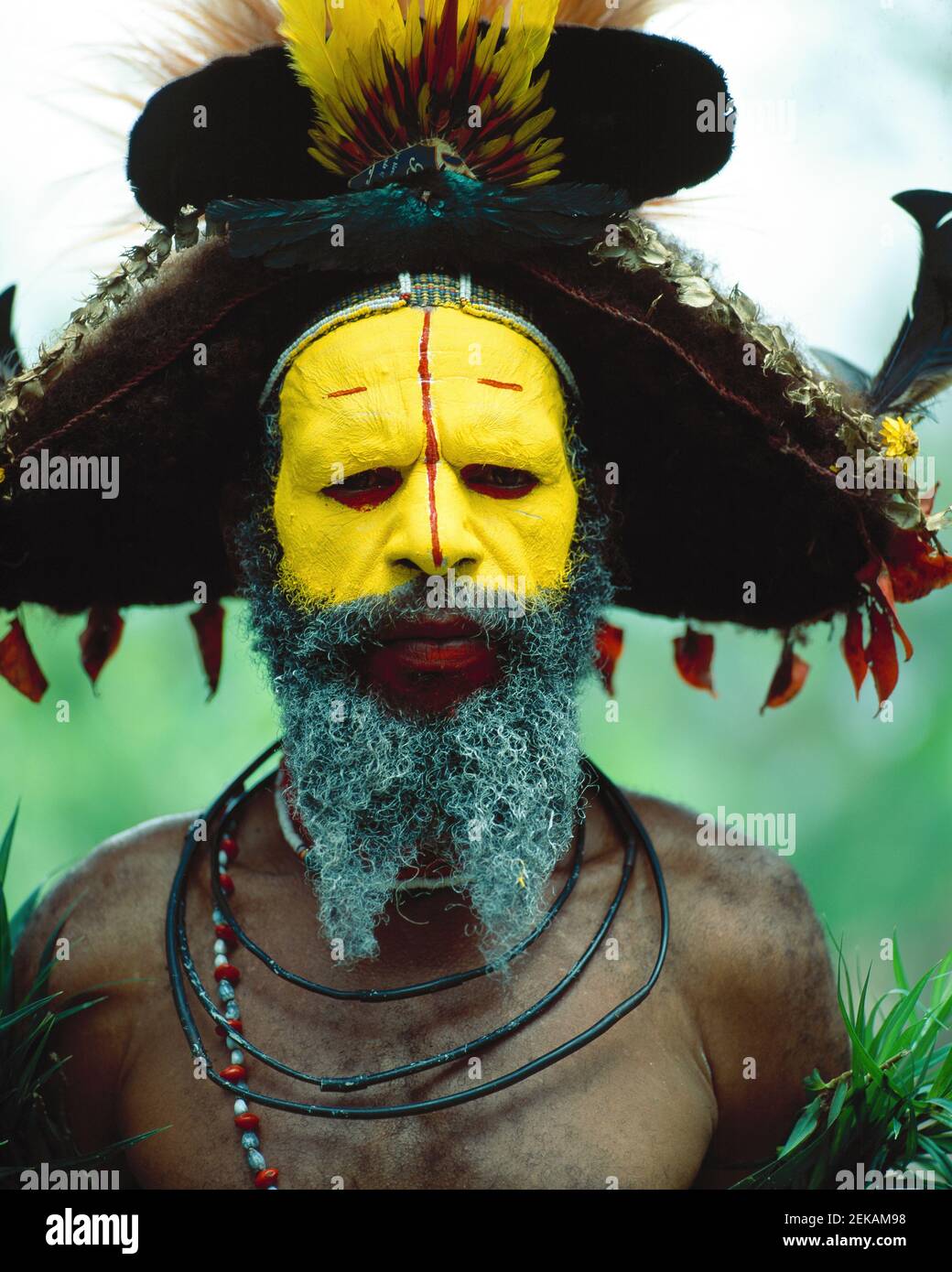Huli boys are only educated to prepare their natural headgear for their ...