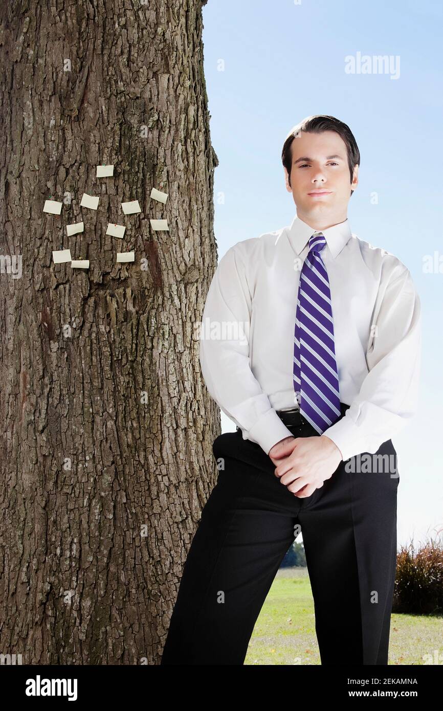 Stuck on a tree hi-res stock photography and images - Alamy