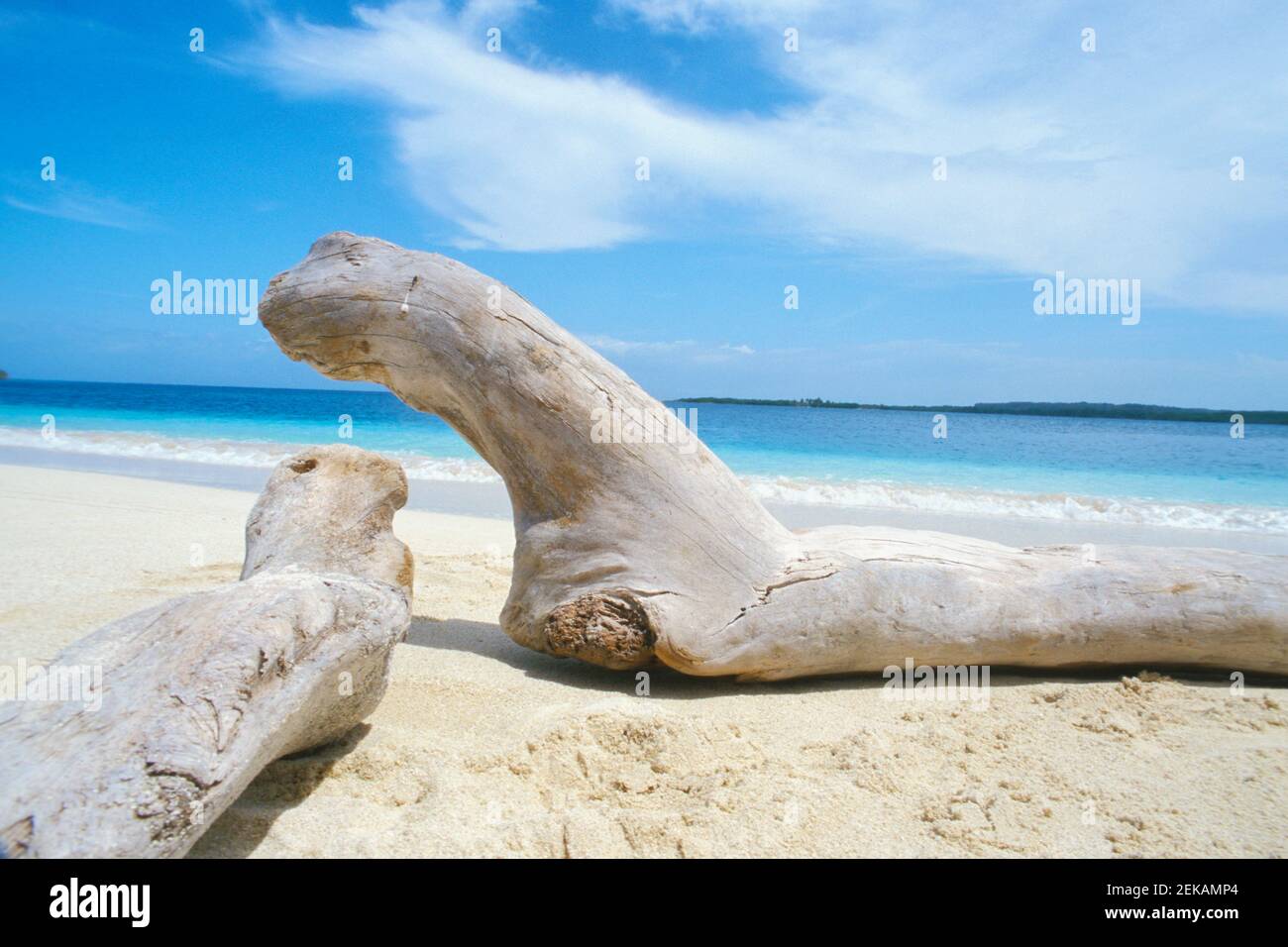 Driftwood on the beach Stock Photo - Alamy