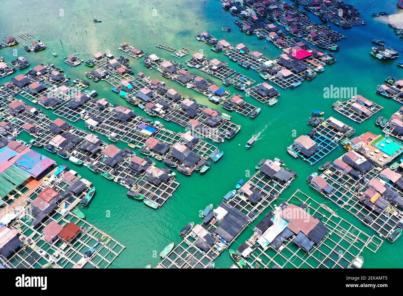 Aerial view of the houes of Tanka people, an ethnic group in Southern ...