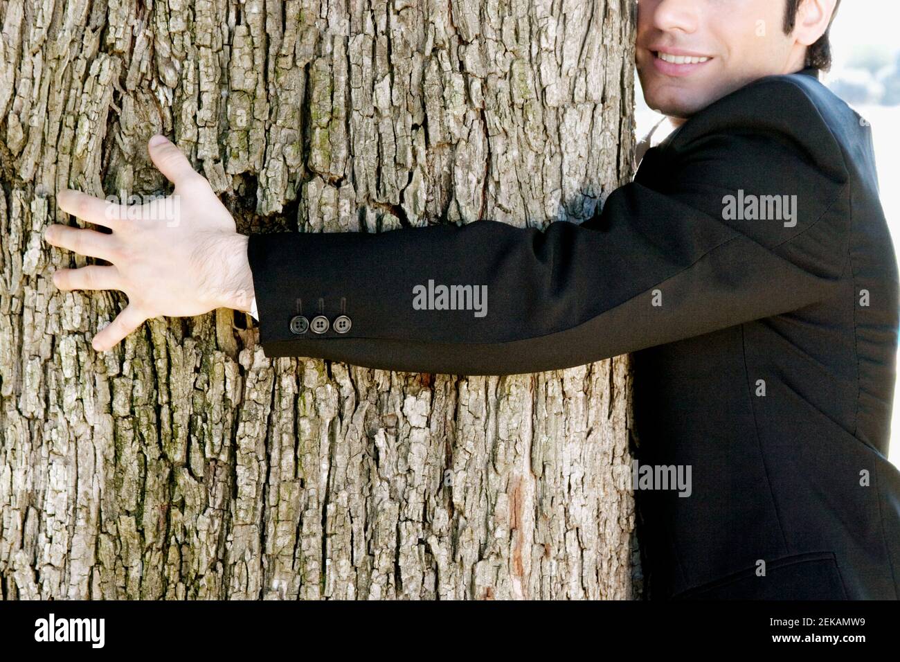 Businessman hugging a tree Stock Photo - Alamy