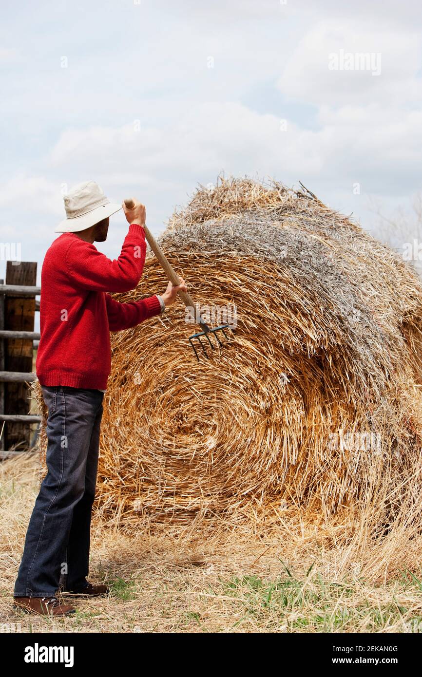 Man making a hay bale Stock Photo - Alamy