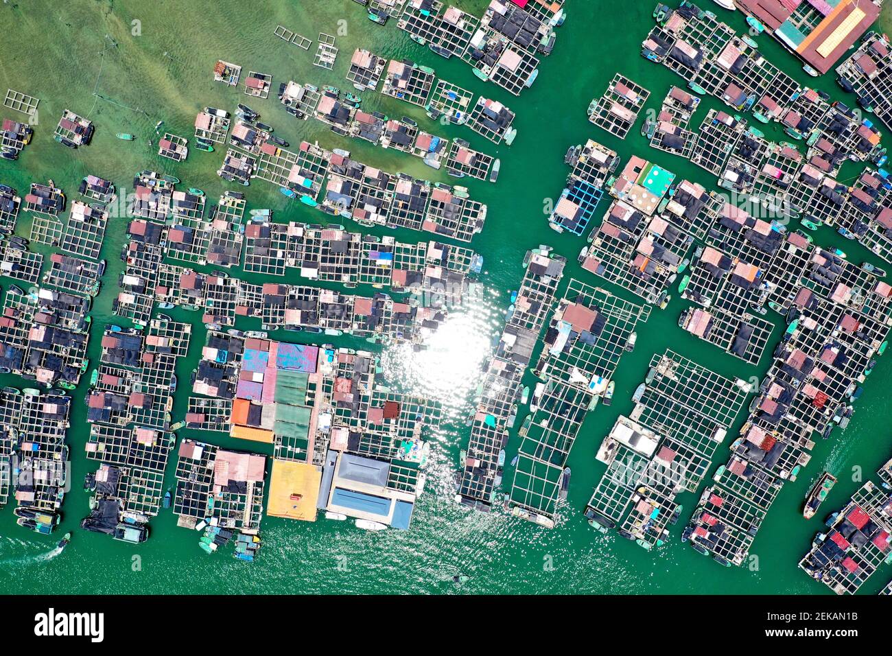 Aerial view of the houses of Tanka people, an ethnic group in Southern ...