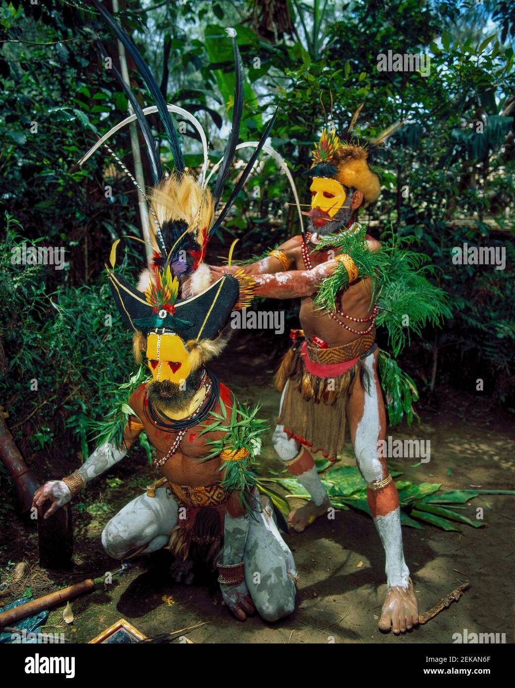 The Huli's red ochre and yellow clay, called 'ambua' is considered ...