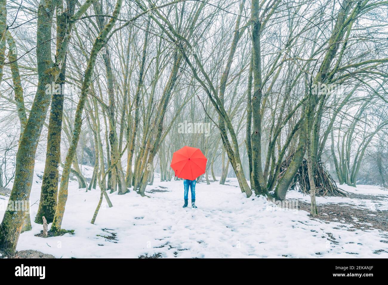 Brother sister in kitchen hi-res stock photography and images - Alamy