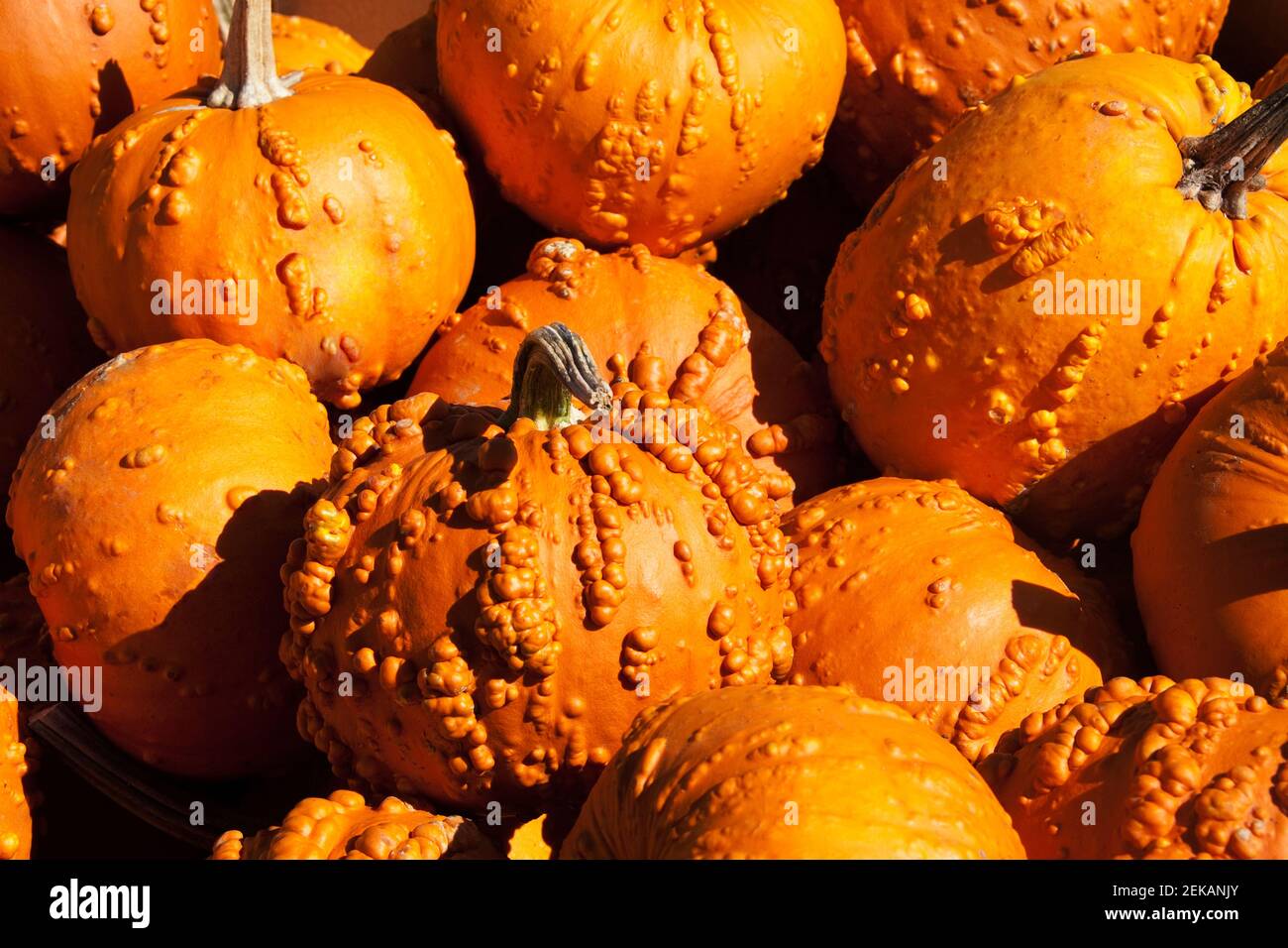 Knobbly vegetables hi-res stock photography and images - Alamy