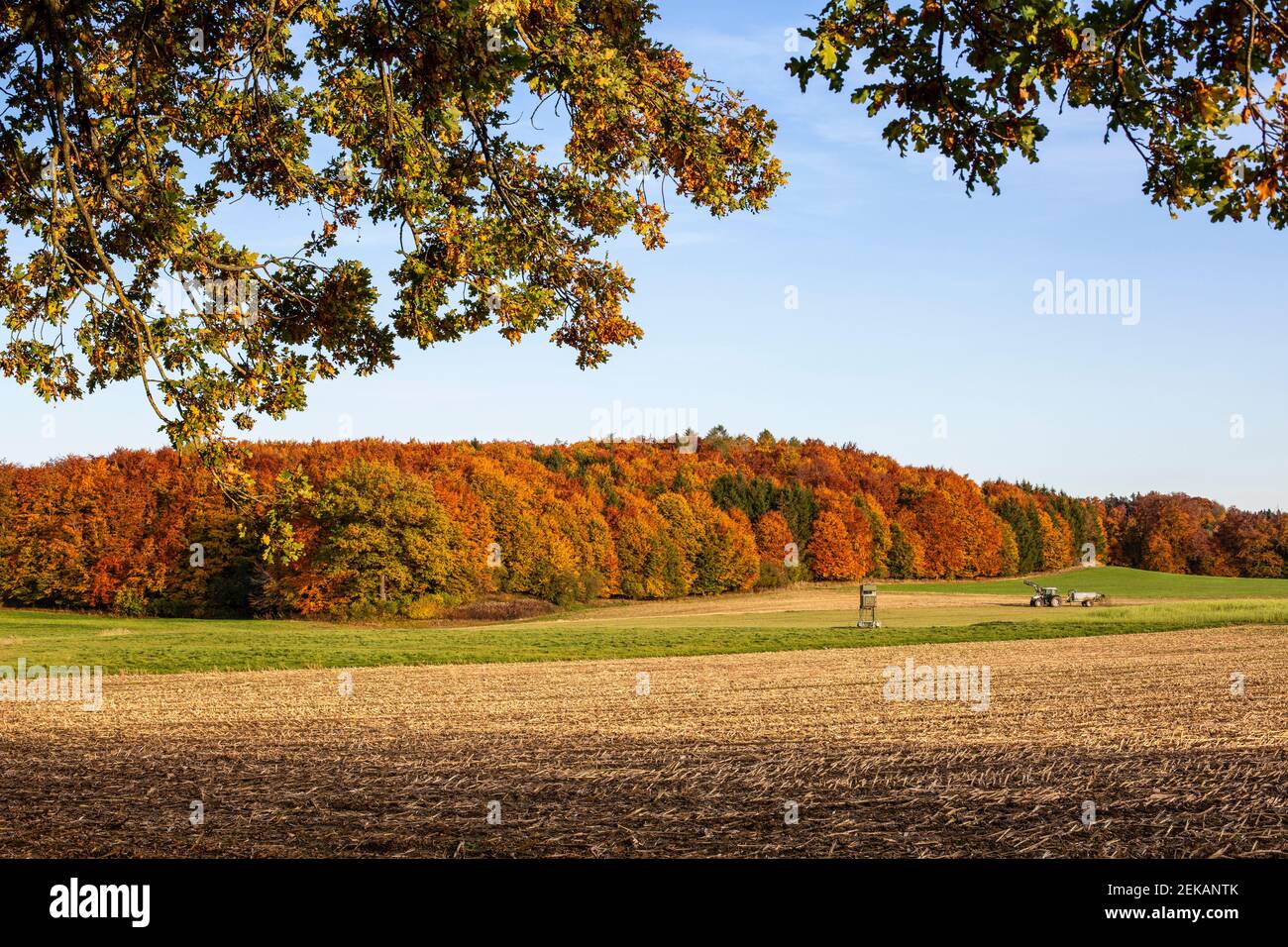 Autumn field work hi-res stock photography and images - Alamy