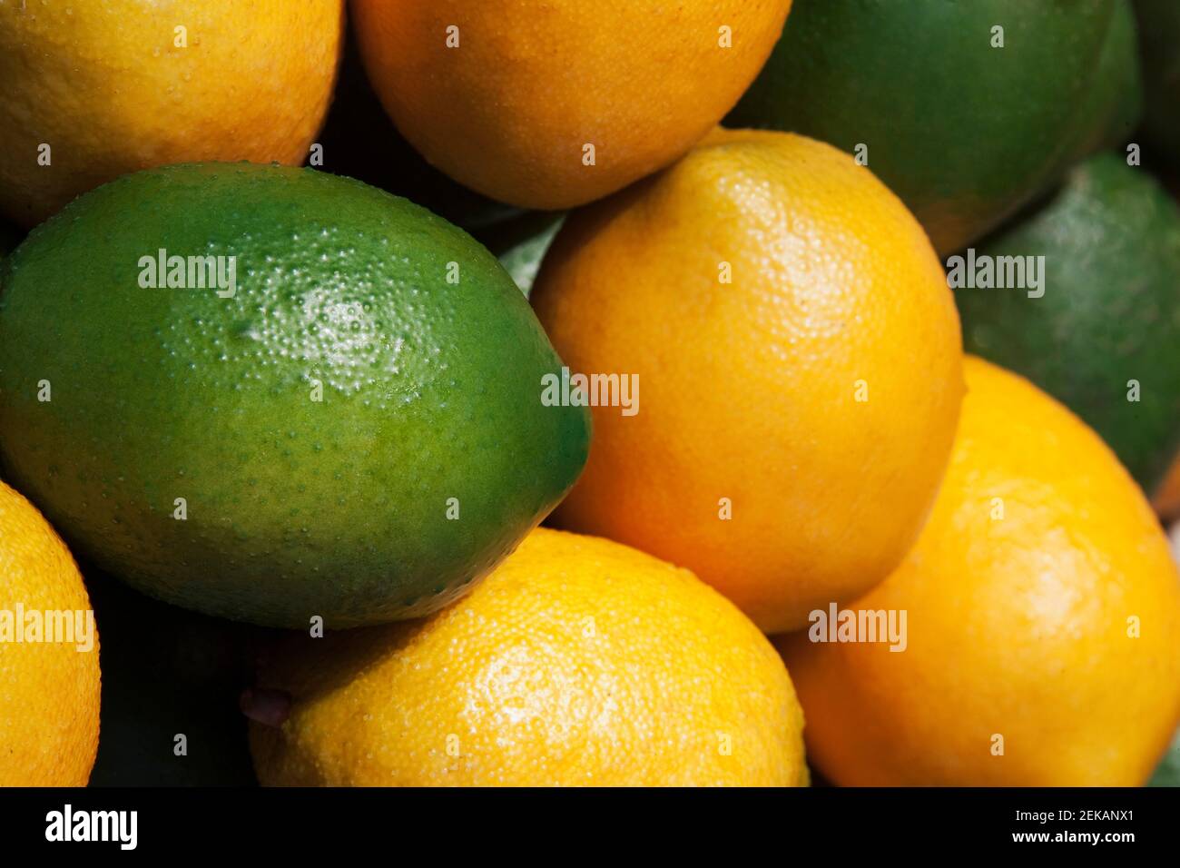 Lime green miami hi-res stock photography and images - Alamy