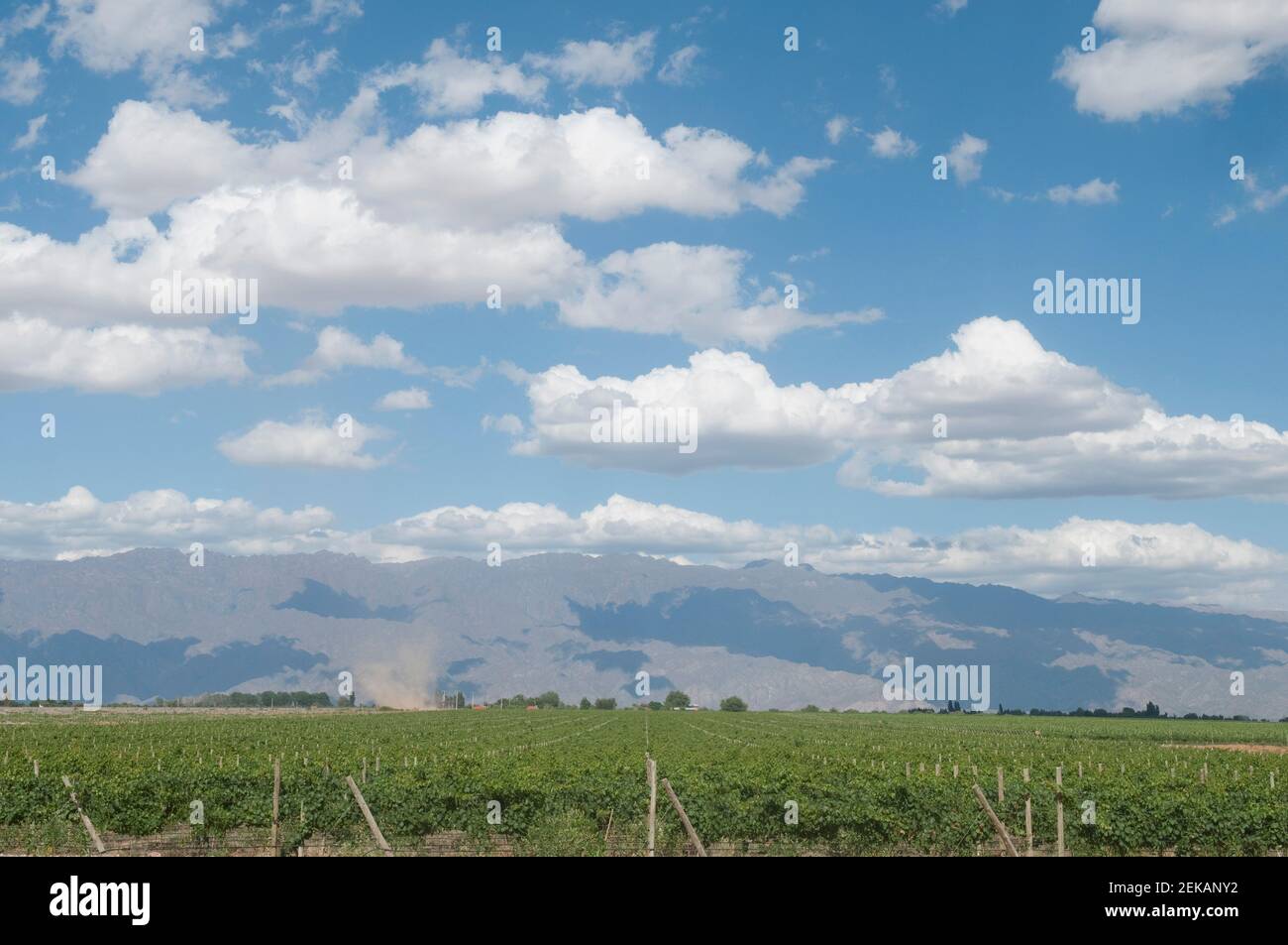 La rioja argentina vineyard hi-res stock photography and images - Alamy