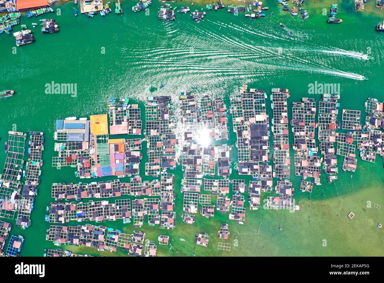 Aerial view of the houses of Tanka people, an ethnic group in Southern ...