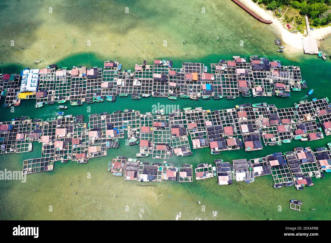 Aerial view of the houses of Tanka people, an ethnic group in Southern ...