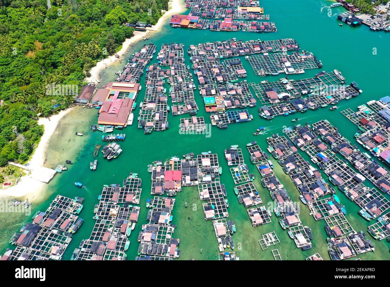 Aerial view of the houses of Tanka people, an ethnic group in Southern ...