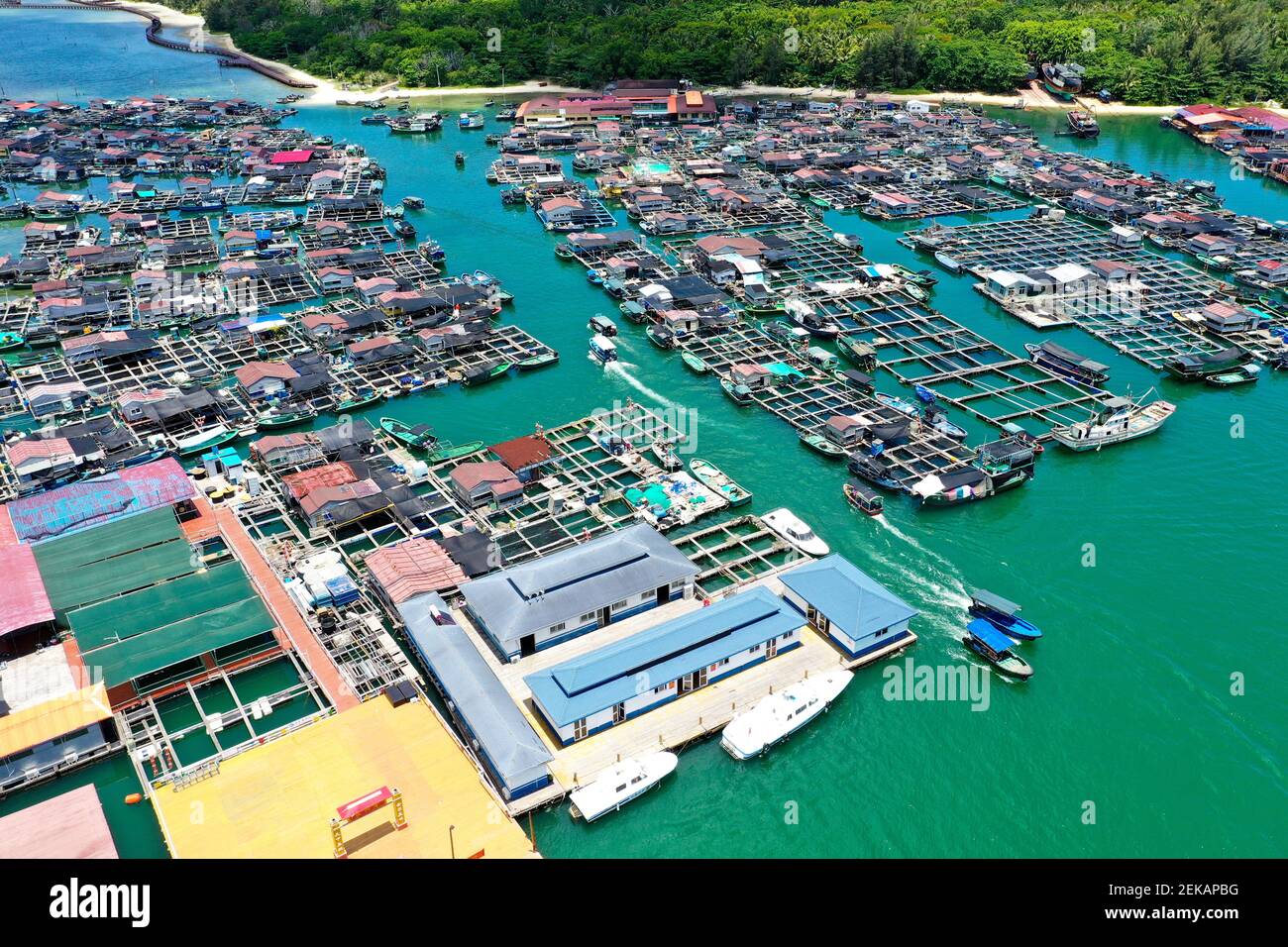 Aerial view of the houses of Tanka people, an ethnic group in Southern ...