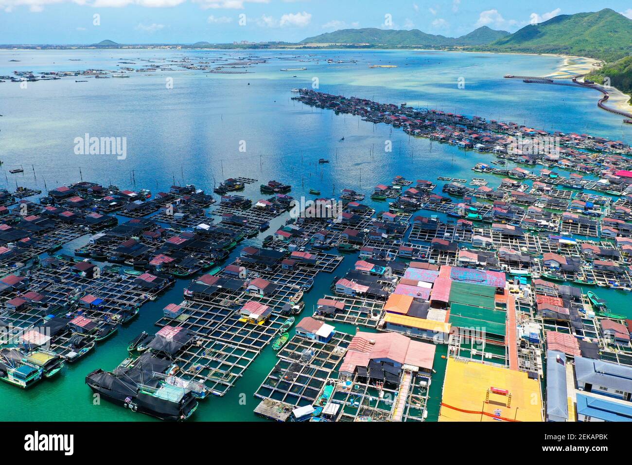Aerial view of the houses of Tanka people, an ethnic group in Southern ...