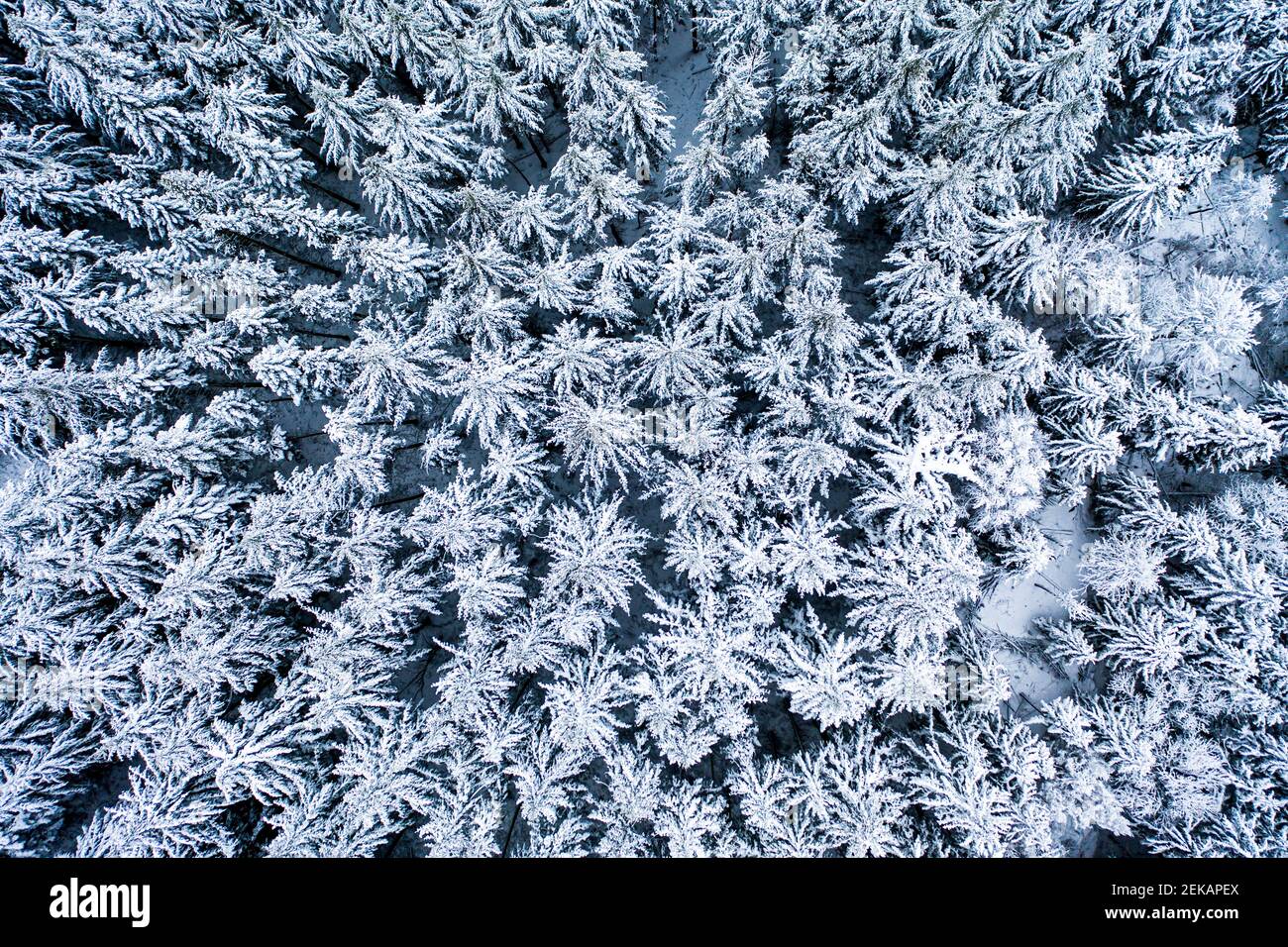 Covered helicopter hi-res stock photography and images - Alamy