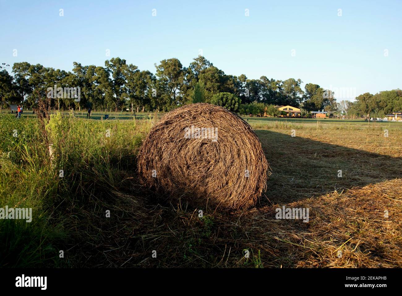 Bale structure hi-res stock photography and images - Alamy
