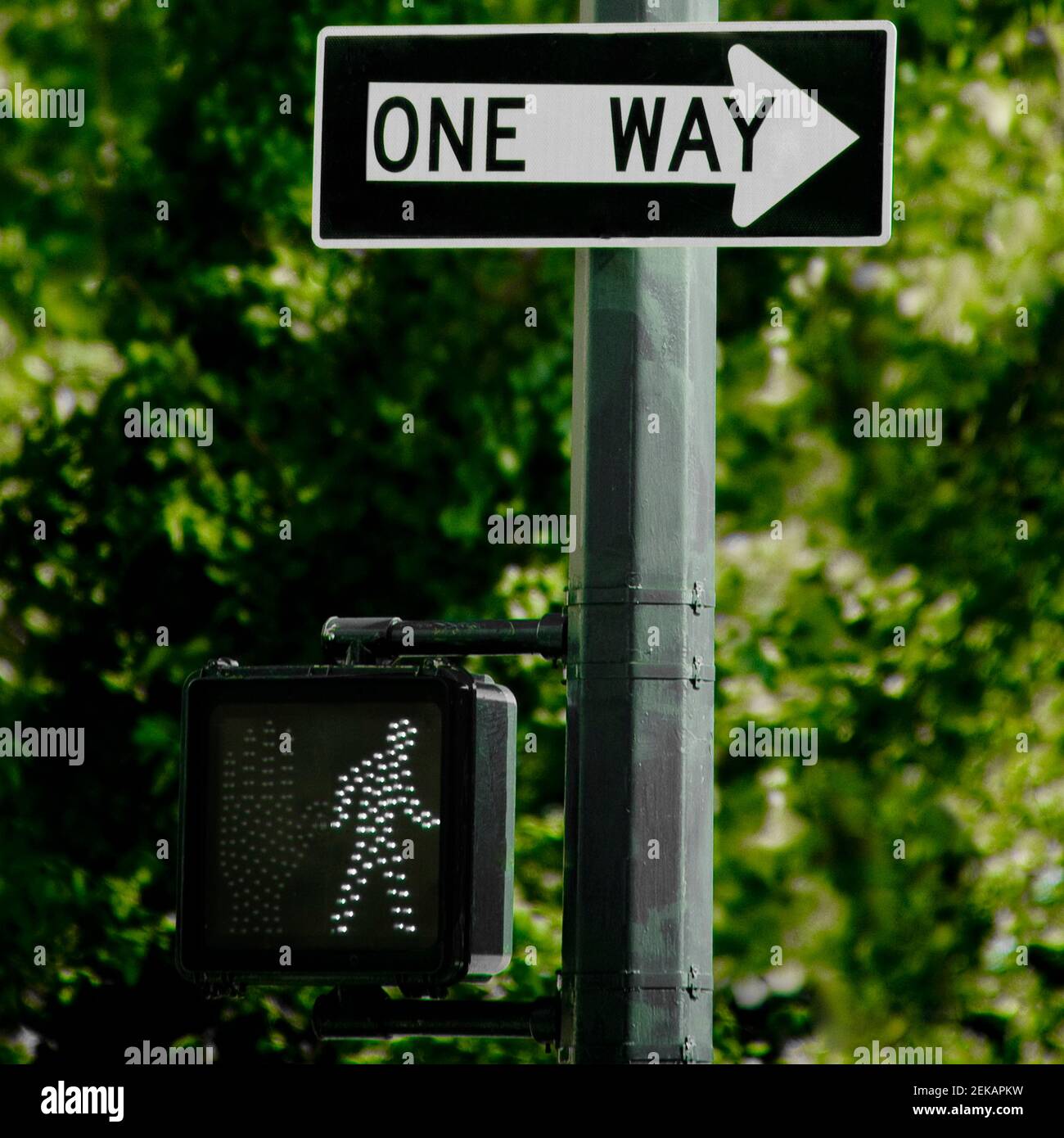 Low angle view of an information signboard hi-res stock photography and ...