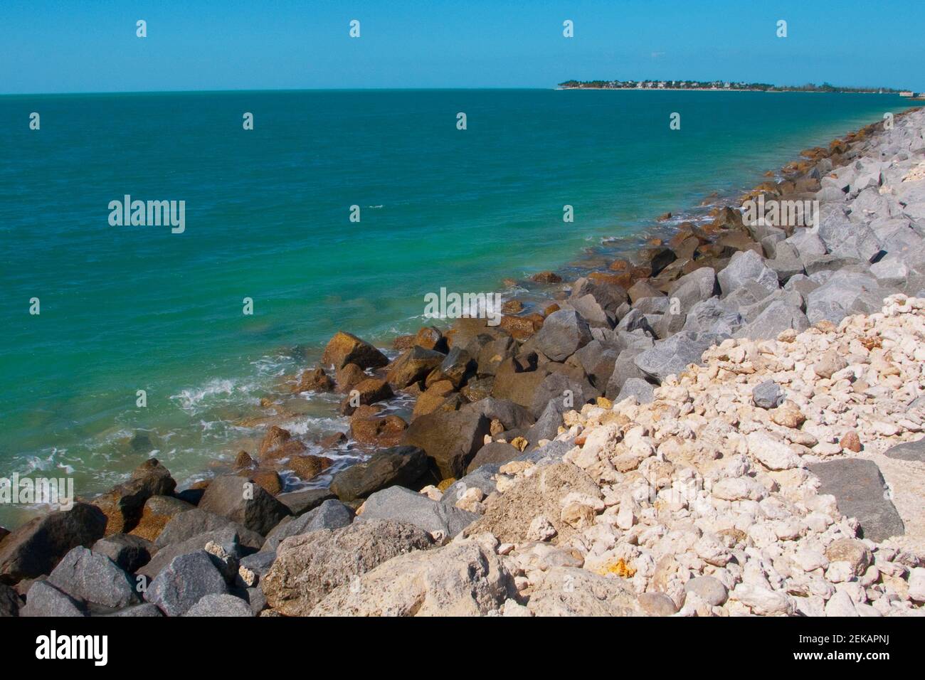 Rocks on the beach, Key West, Florida, USA Stock Photo - Alamy