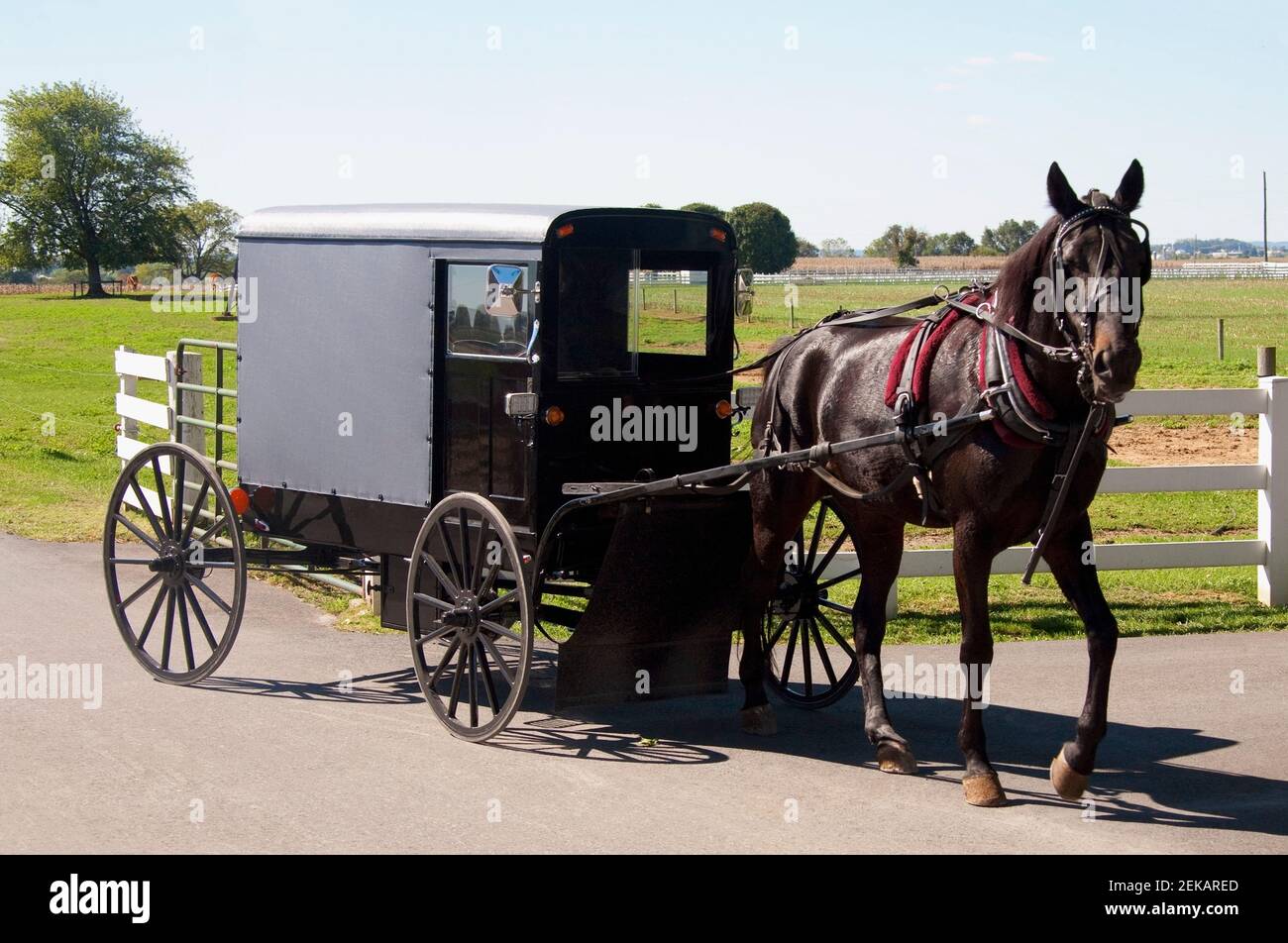 Horse cart on the road, Amish Farm, Lancaster, Pennsylvania, USA Stock ...