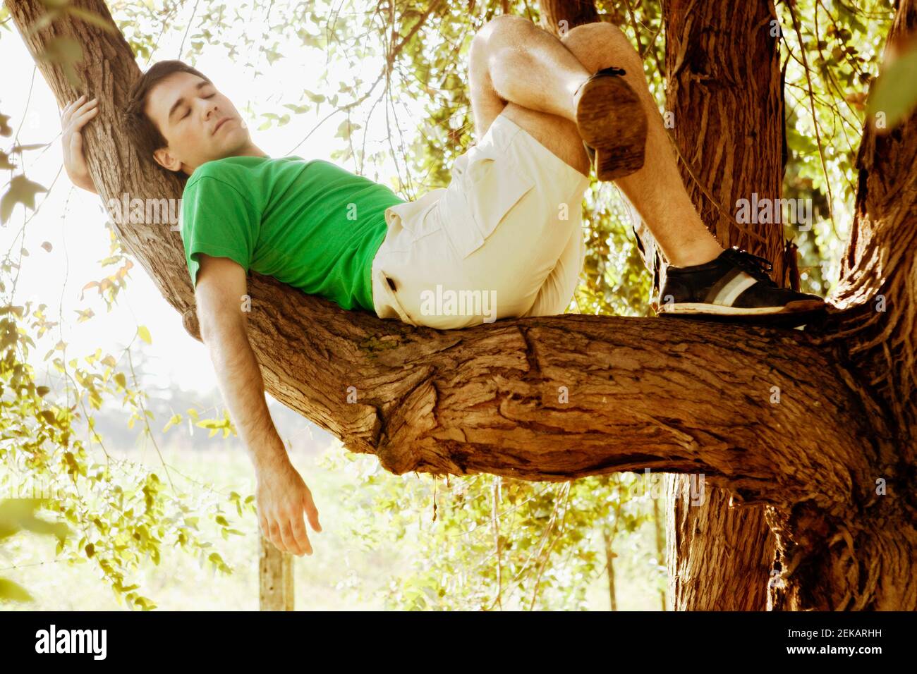 Man sleeping on a tree branch Stock Photo - Alamy