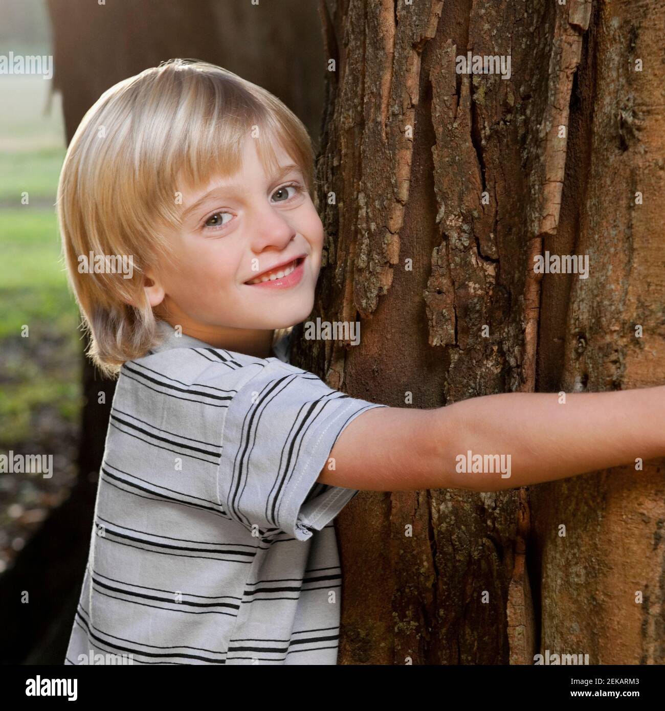 Boy hugging a tree in a garden Stock Photo - Alamy