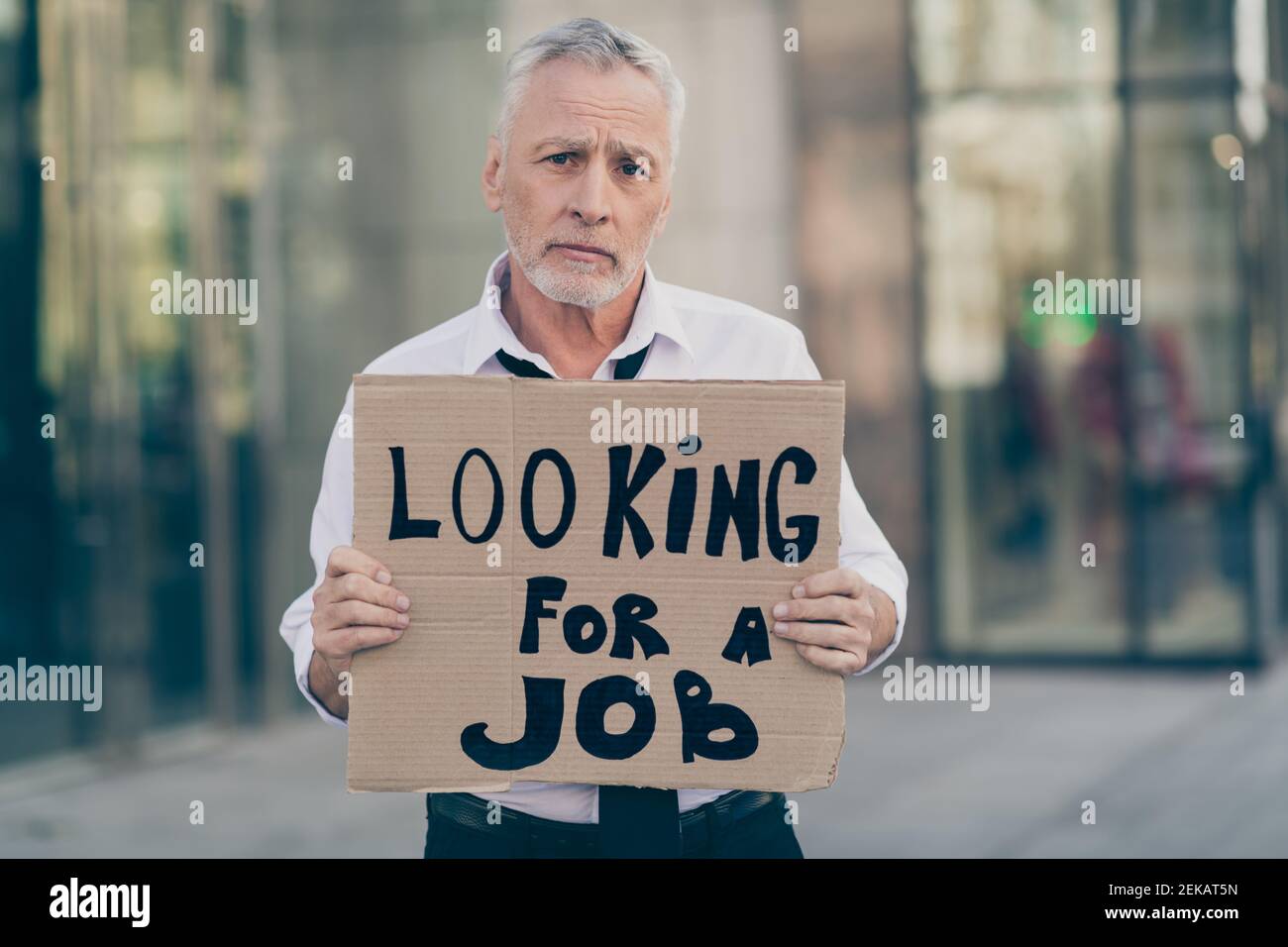 Photo of sad old business man hold banner need job wear white shirt ...