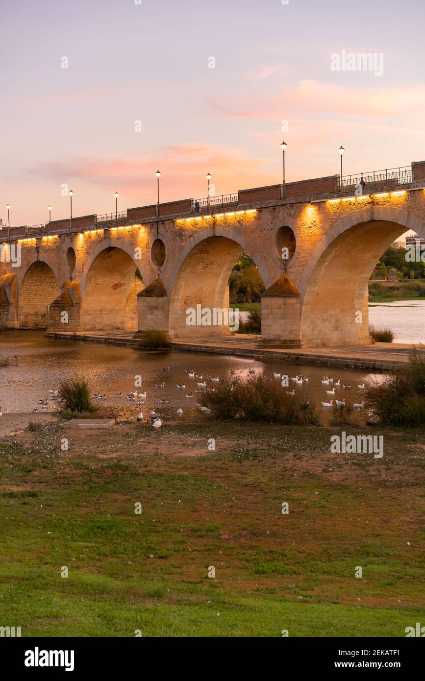 Badajoz palmas bridge sunset hi-res stock photography and images - Alamy
