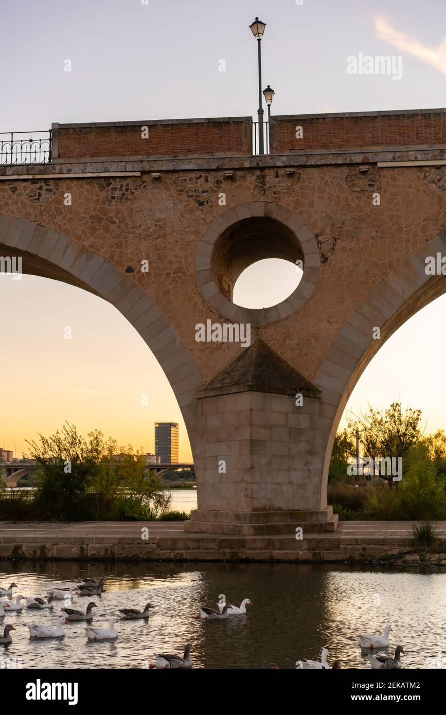Badajoz palmas bridge sunset hi-res stock photography and images - Alamy