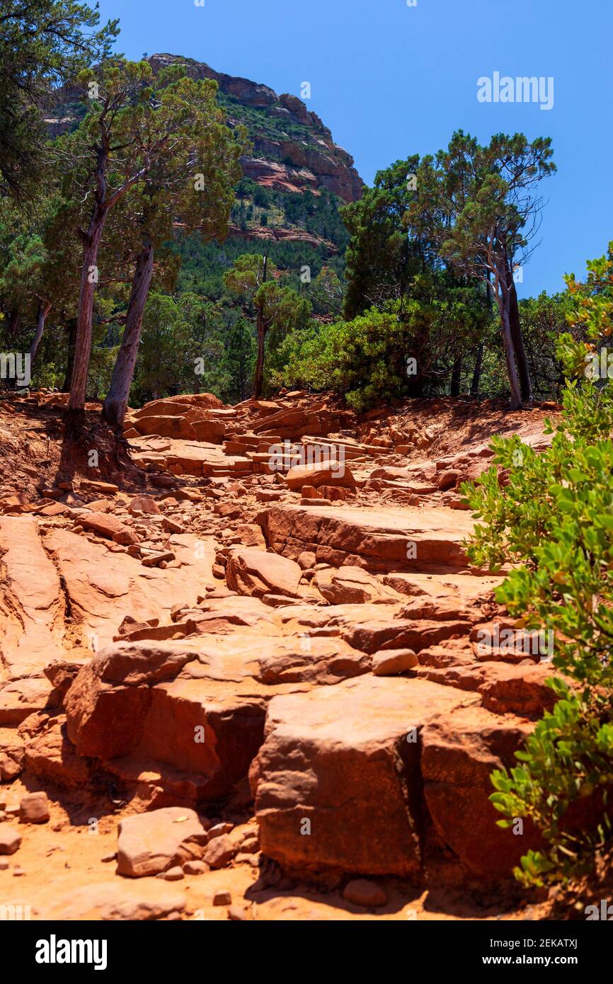 Rock formations on Devil`s Bridge Trail against clear blue sky on sunny ...